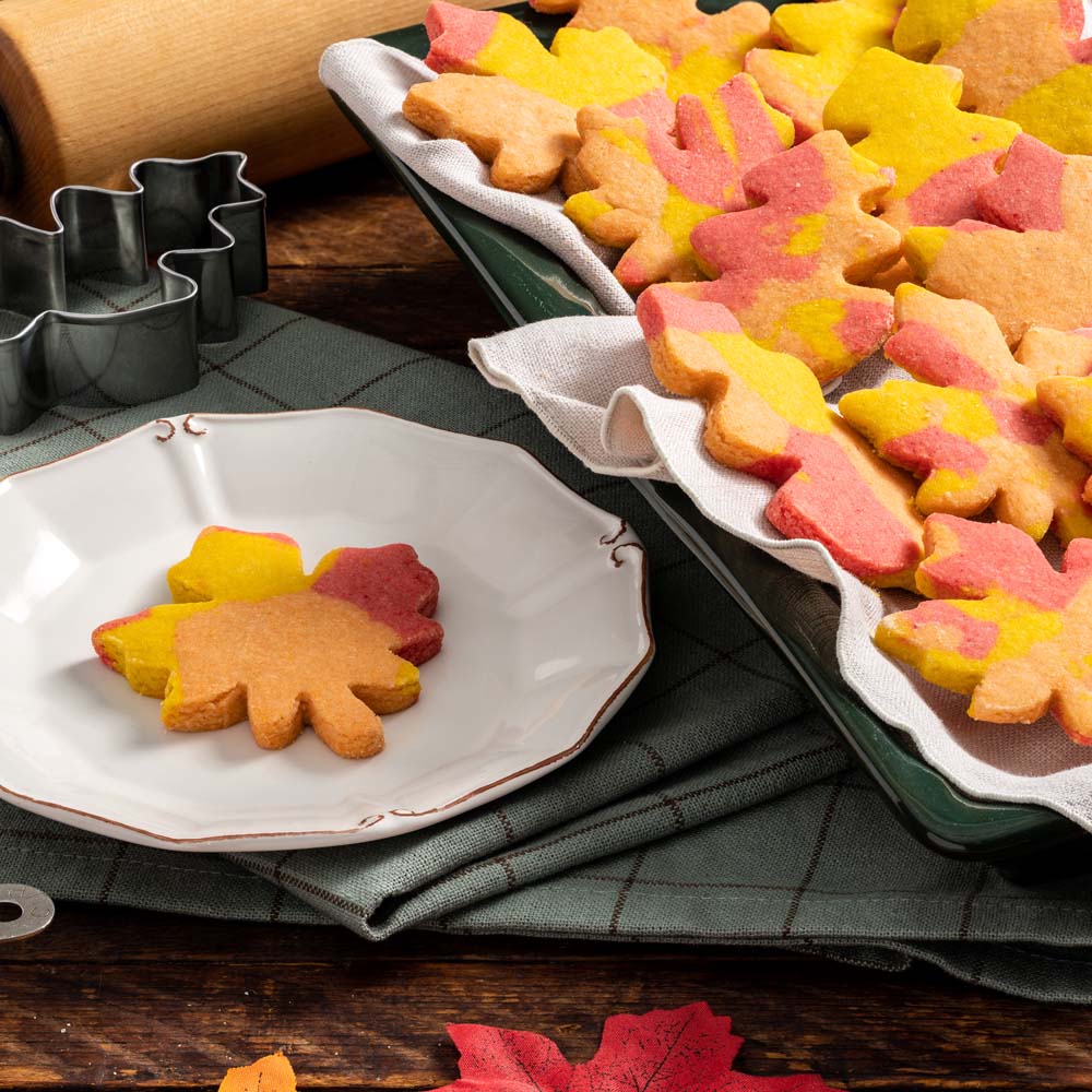 Autumn Cookies