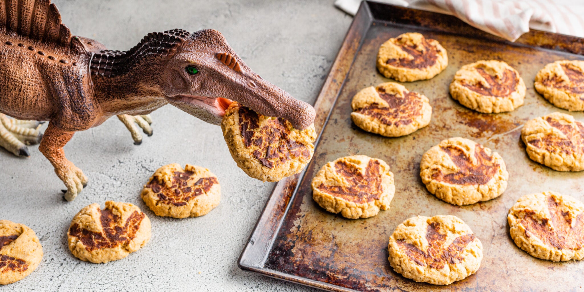 Dino Fossil Cookies - Splenda®